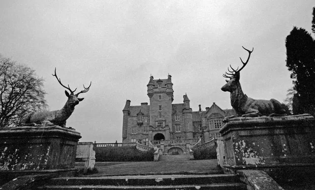 Who Owns the Traitors Castle? Ardross Owner, Stays & Cost