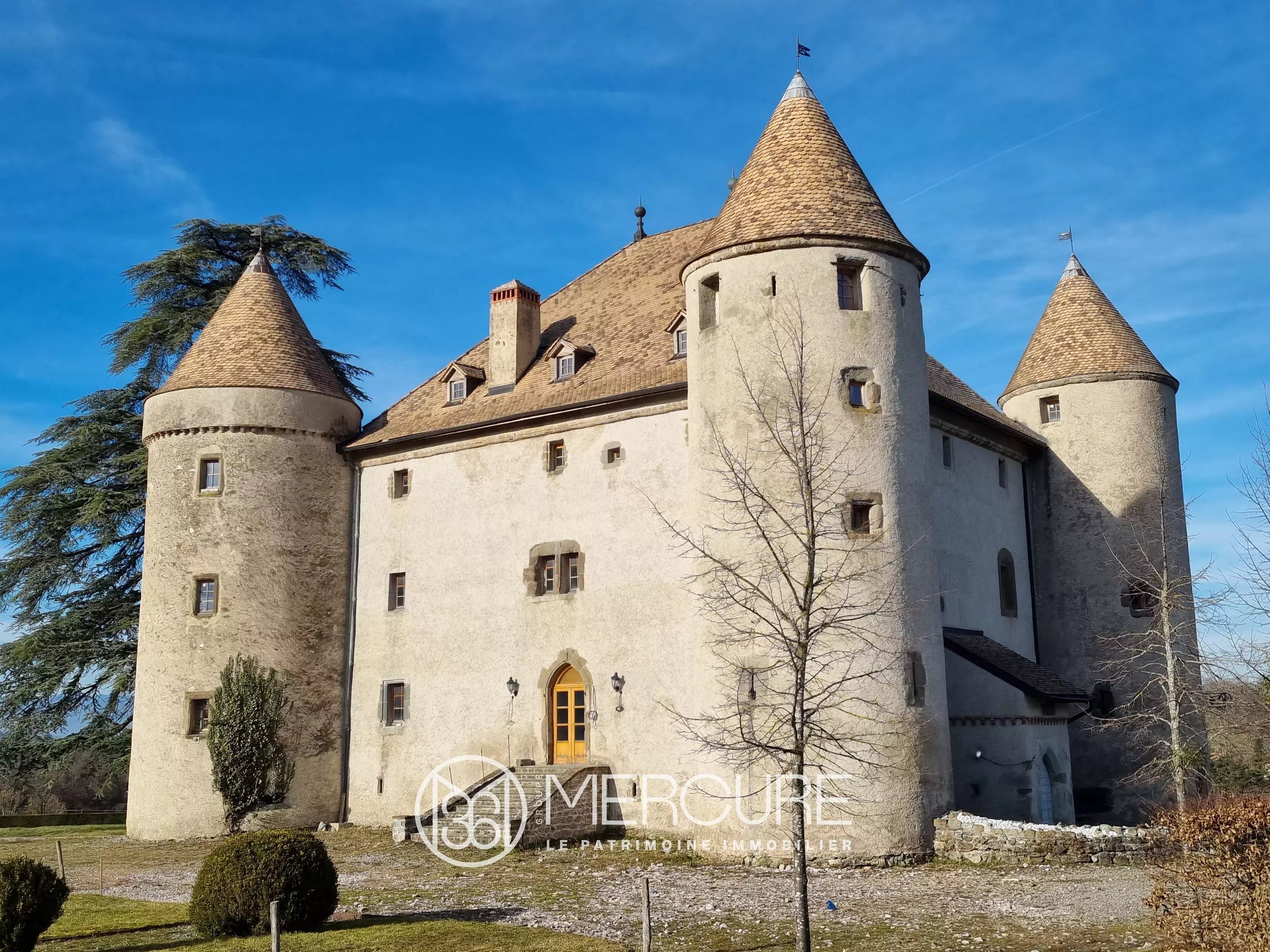 Exceptional 15th Century Château With Renovation Potential - Castle for ...