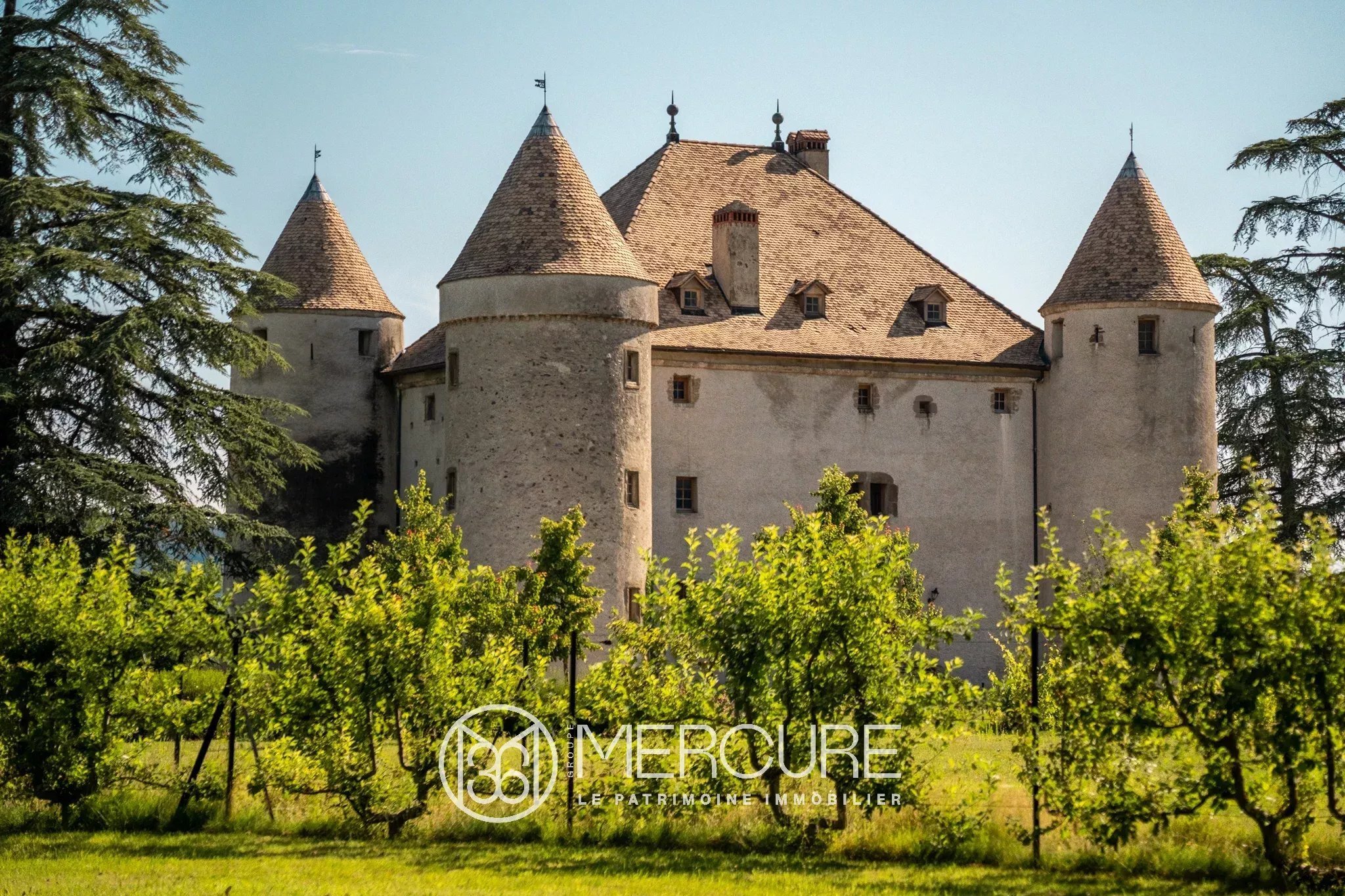 Exceptional 15th Century Château With Renovation Potential - Castle for ...