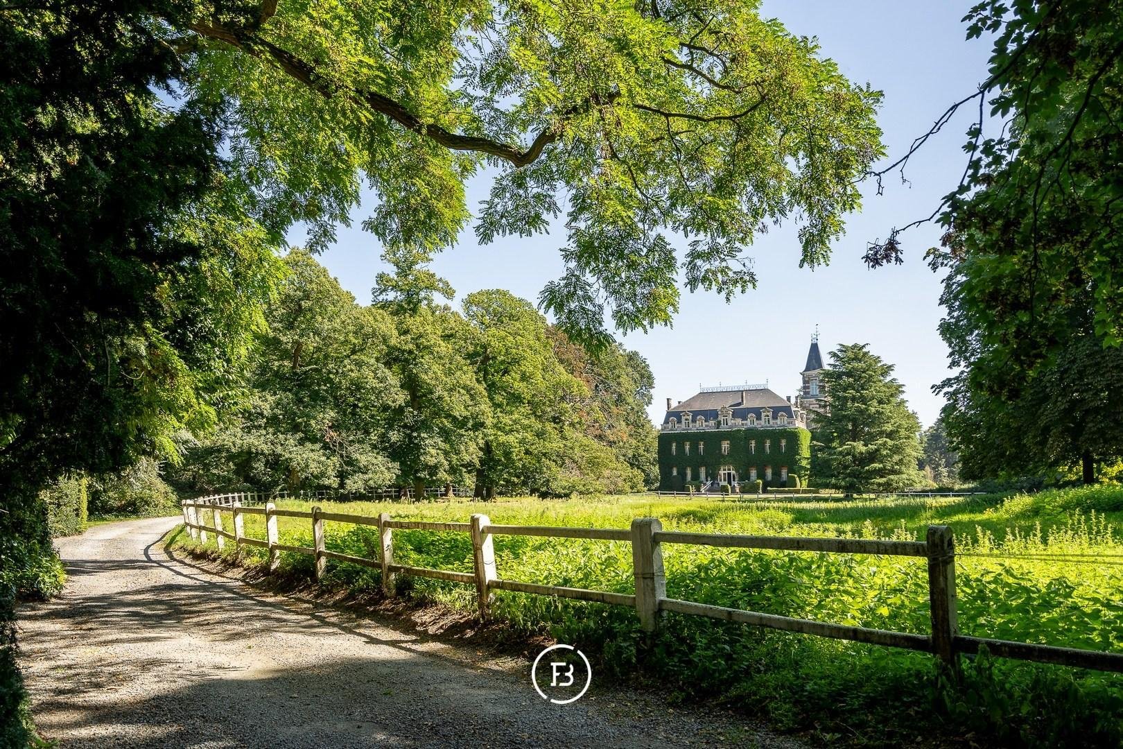 Charming Castle With Expansive Park And Seven Bedrooms - Castle for Sale