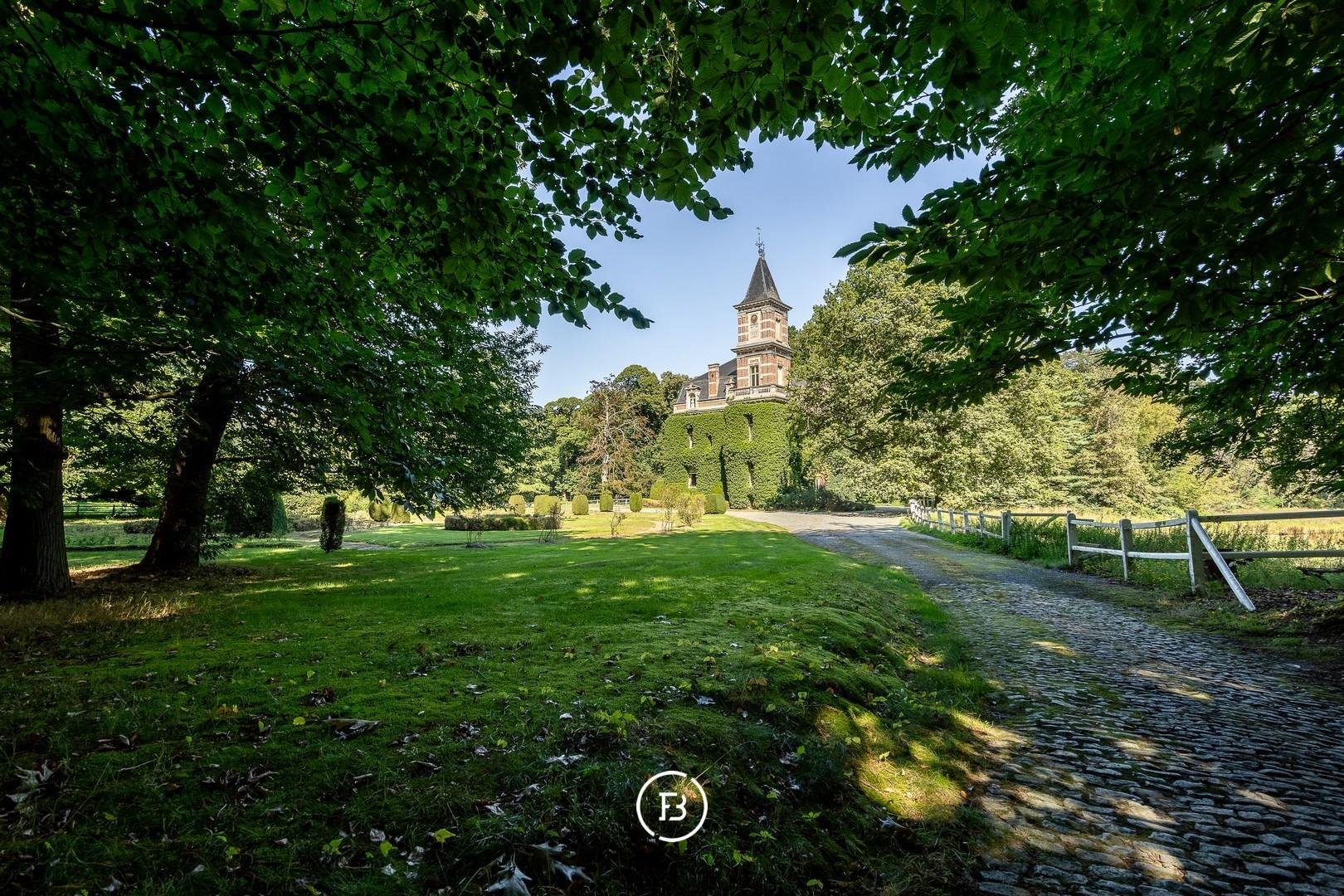 Charming Castle With Expansive Park And Seven Bedrooms - Castle for Sale