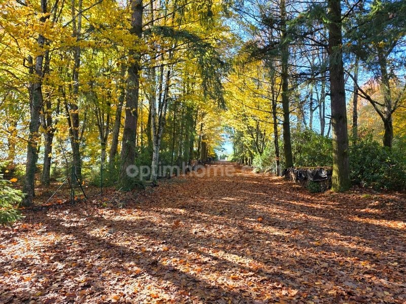 Charming Castle With Gîtes Set In 18 Hectares Of Peaceful Grounds ...