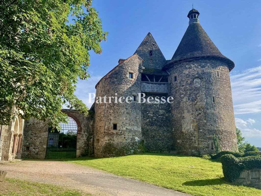 Historic 15th Century Château Overlooking Pastureland and Lake - Castle ...