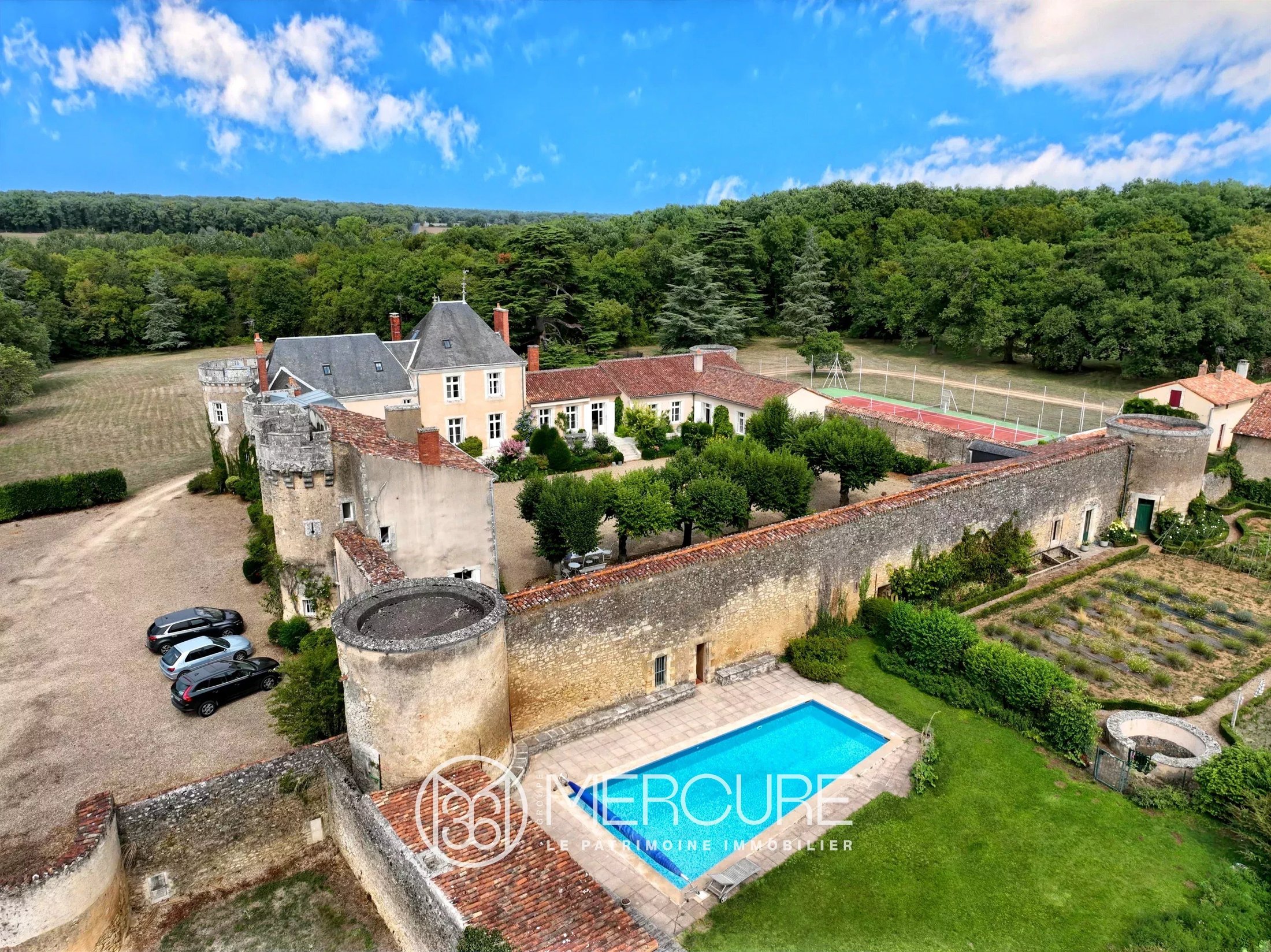 Historic Château With Guest House And Pool In Poitou - Castle for Sale