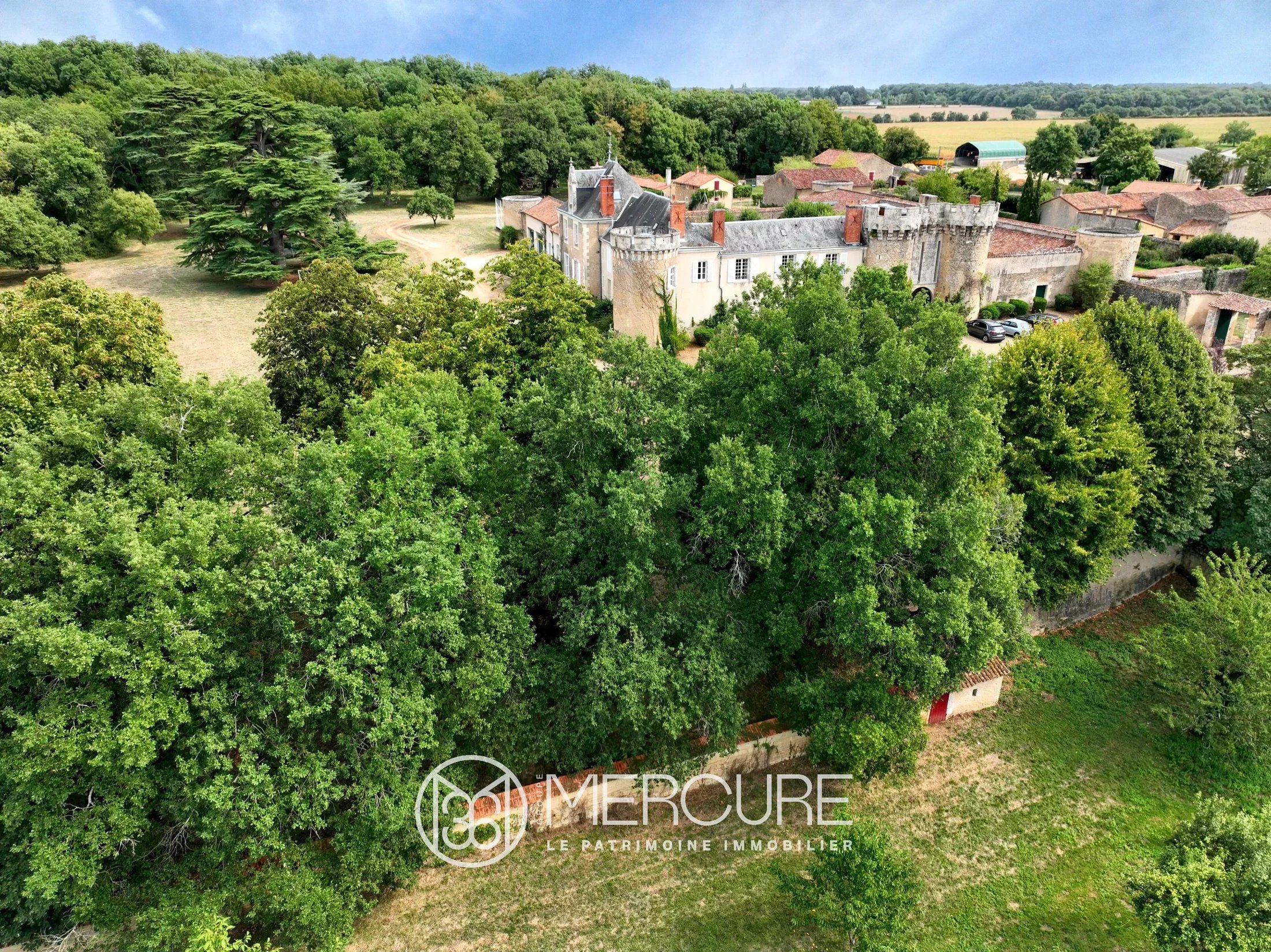 Historic Château With Guest House And Pool In Poitou - Castle for Sale